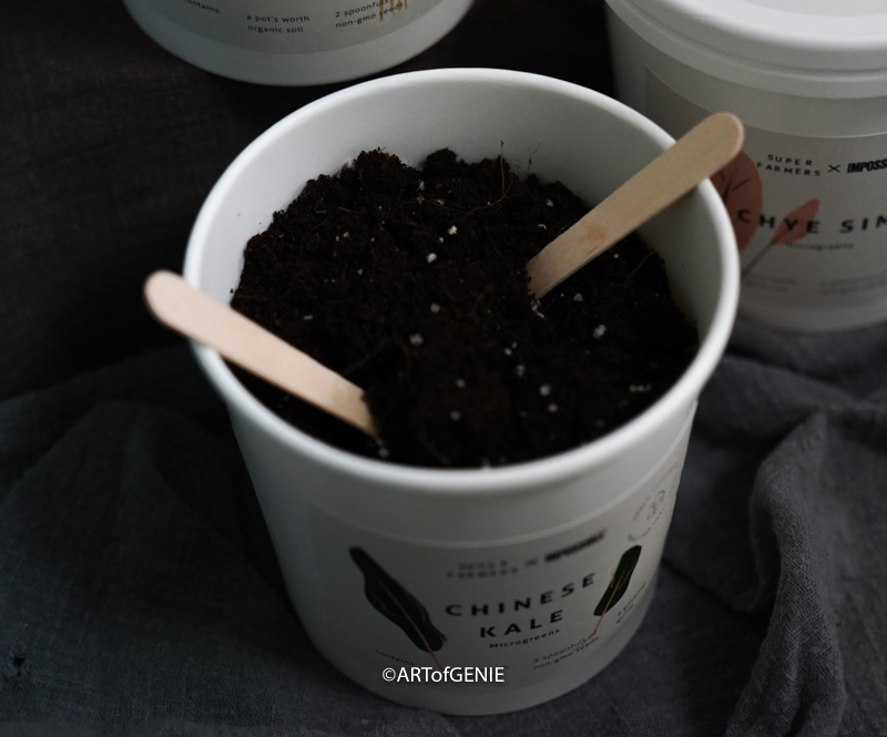 Super Farmers Urban Farming Kit (Review)-6 – oo-foodielicious