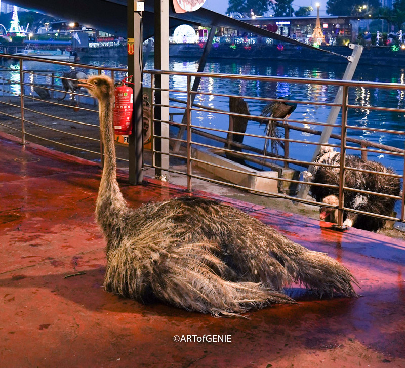 99 Wonderland Park KL (Review)-8 – oo-foodielicious