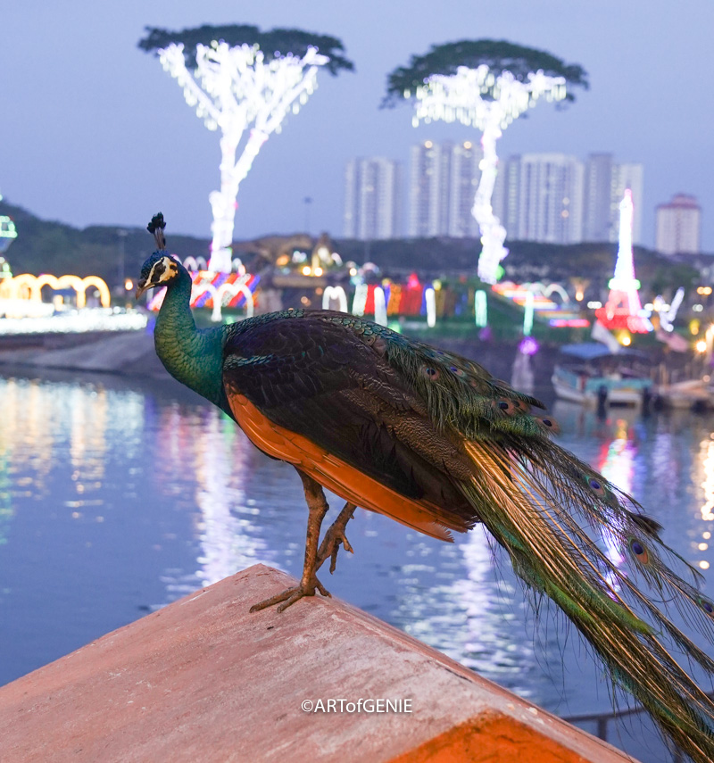 99 Wonderland Park, KL – Photo-worthy LED Light Attractions, Water ...
