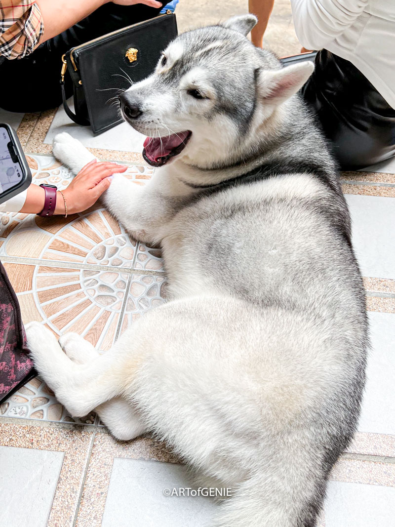 TrueLove at Neverland Husky Cafe Bangkok (Review)-16 – oo-foodielicious