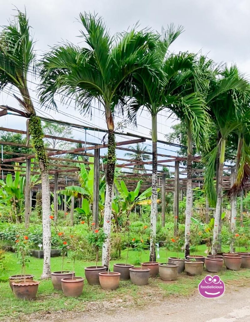 HiDEAWAY by JAMPA, Phuket – Farm Tour in Tri Vananda by Montara ...