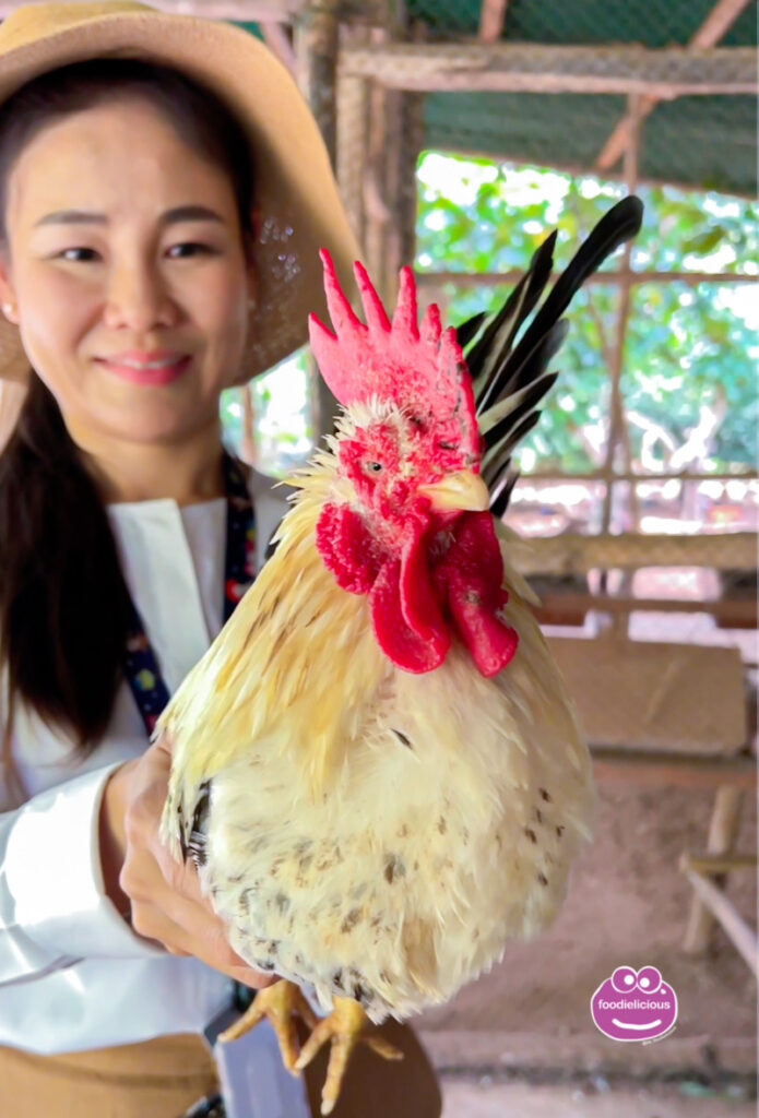 HiDEAWAY by JAMPA, Phuket – Farm Tour in Tri Vananda by Montara ...