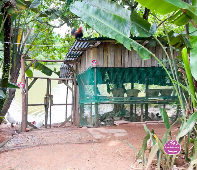 HiDEAWAY by JAMPA, Phuket – Farm Tour in Tri Vananda by Montara ...