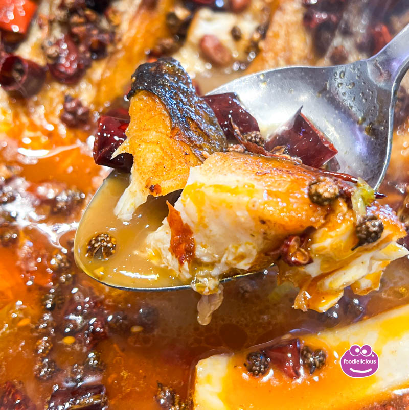 Ba Guo Grilled Fish 巴国烤鱼 – Sichuan Mala Grilled Fish in a Food Court ...